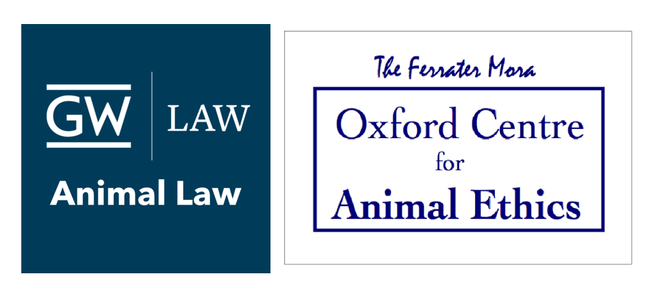 Press Release: Transatlantic partnership boosts Oxford Summer School on ...