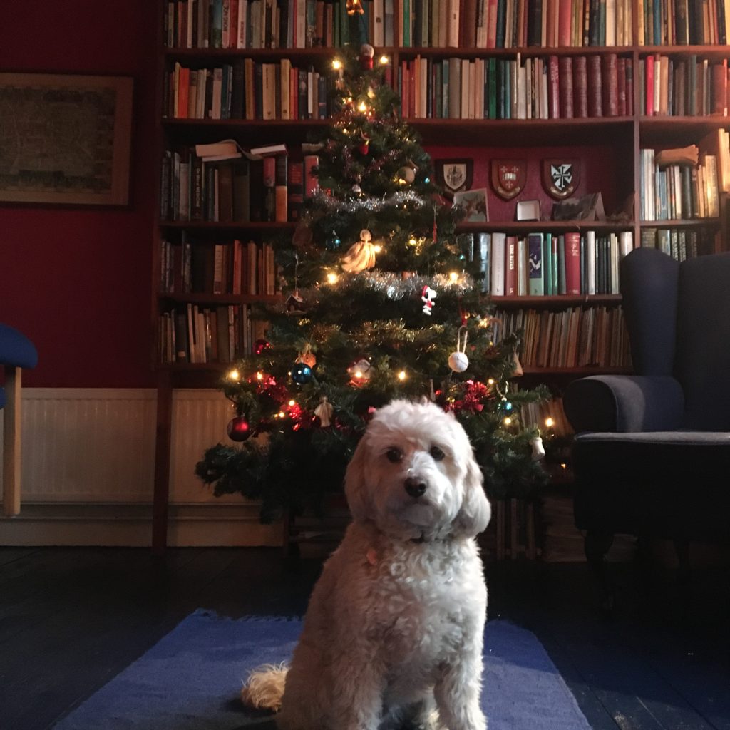 Christmas Roundup and Appeal - Oxford Centre for Animal Ethics